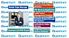Quantum fills missing marketing head spot